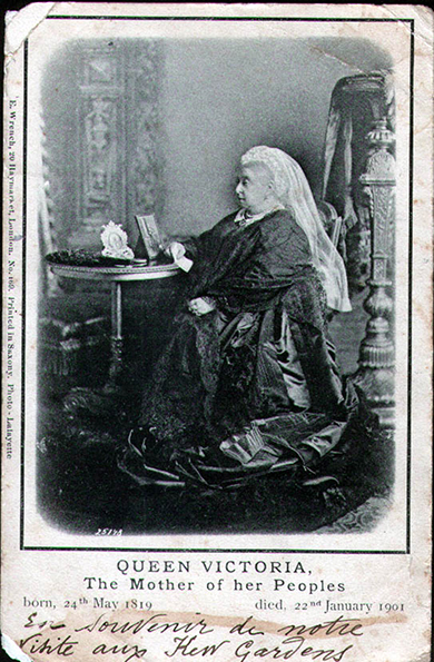 published images by Lafayette